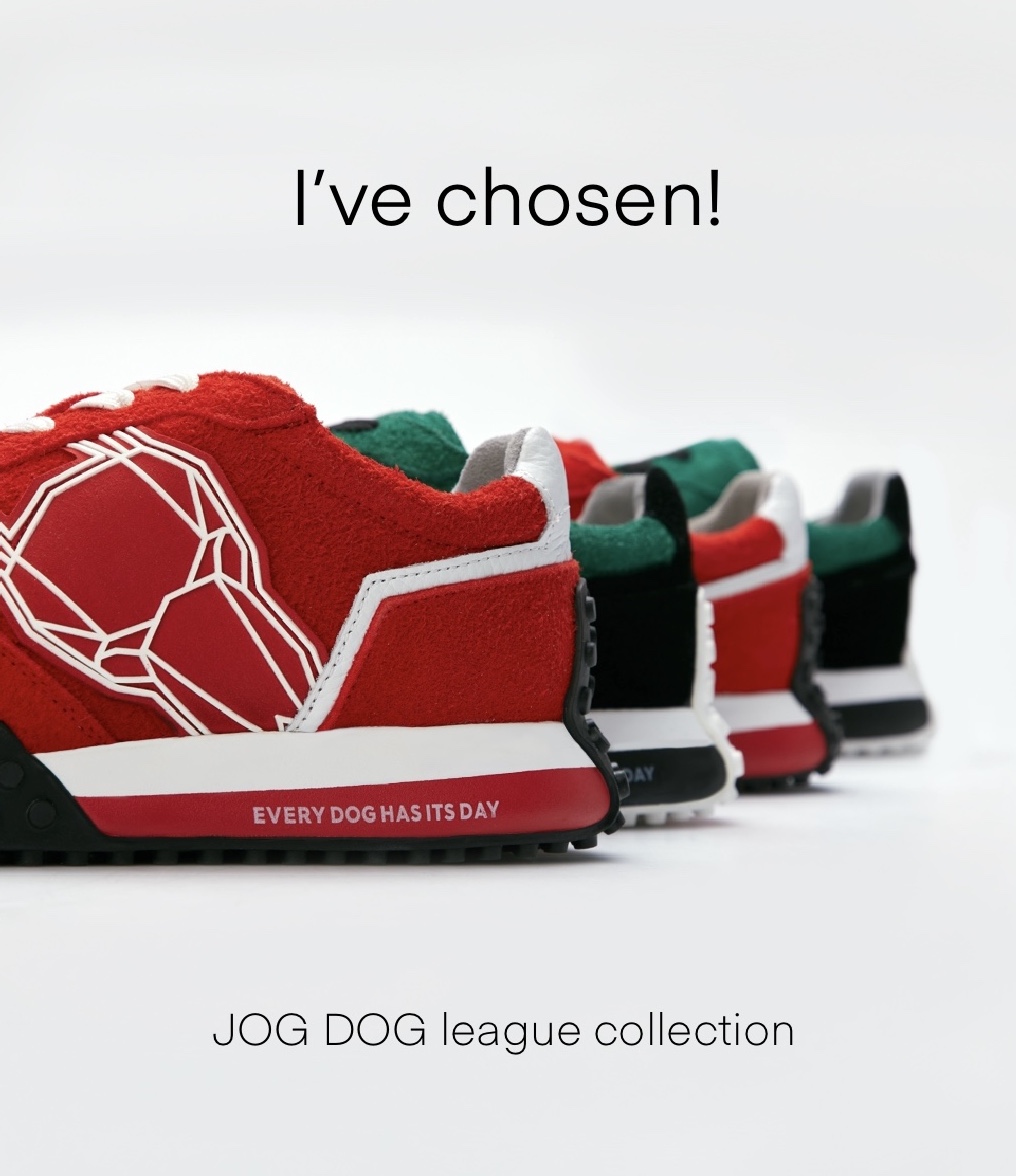 Актуальные коллекции модной обуви JOG DOG! Примерка, подарочные карты ...